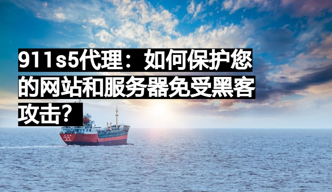 911s5代理：如何保护您的网站和服务器免受黑客攻击？ - 易路代理 - 海外住宅IP代理推荐，Socks5动态及静态住宅IP购买首选