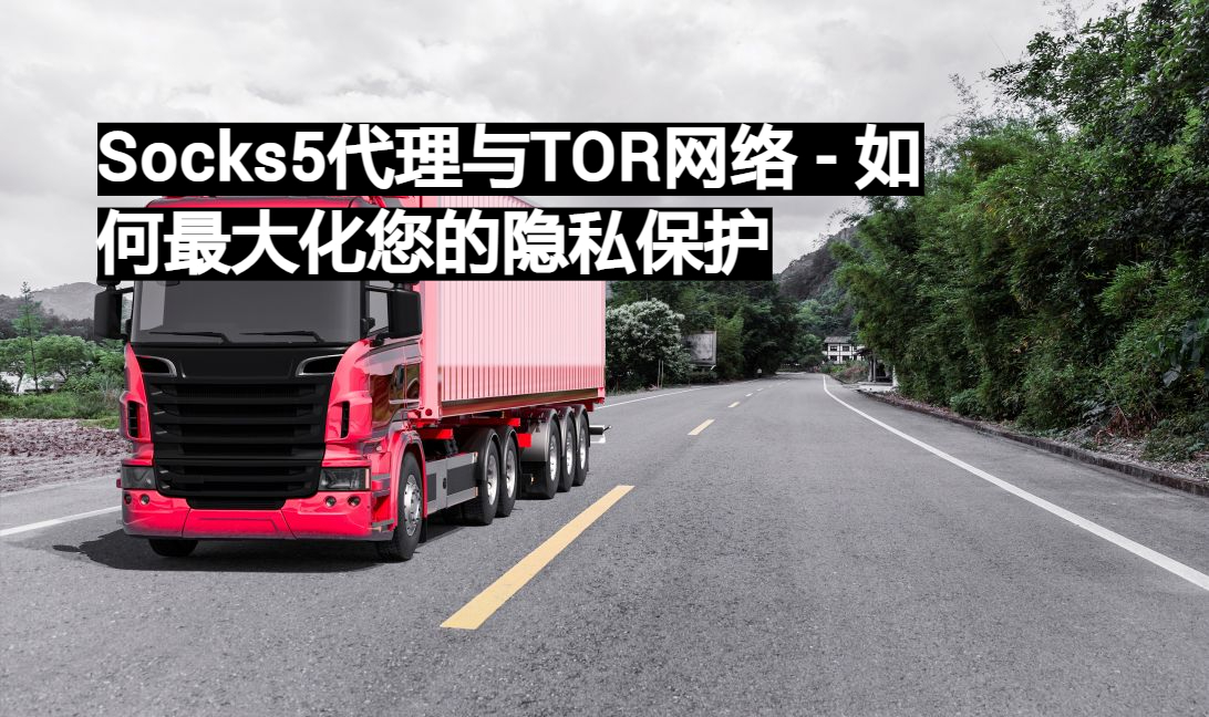 Socks5代理与TOR网络 - 如何最大化您的隐私保护 - 易路代理 - 海外住宅IP代理推荐，Socks5动态及静态住宅IP购买首选